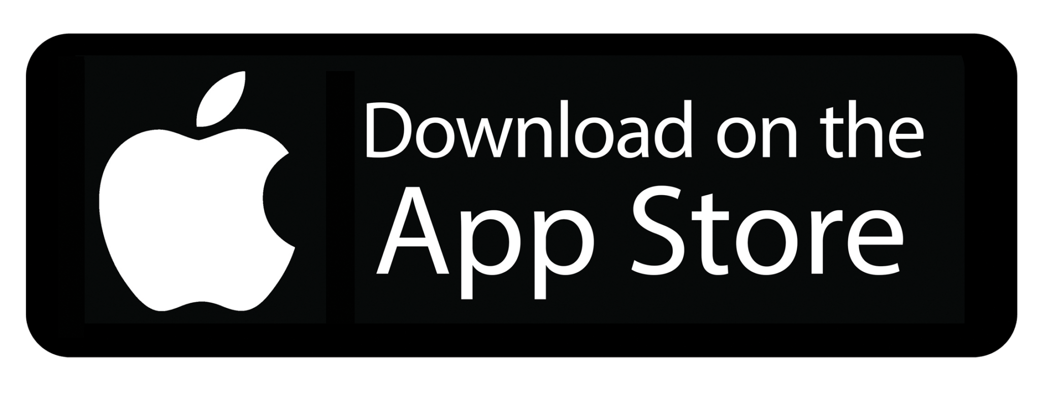 End of First Semester Examination Schedules 2024/2025 - Al Rowad ...